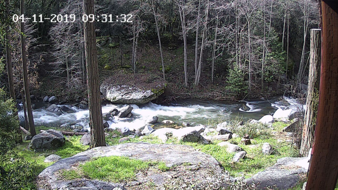 Doyle Springs Rivercam